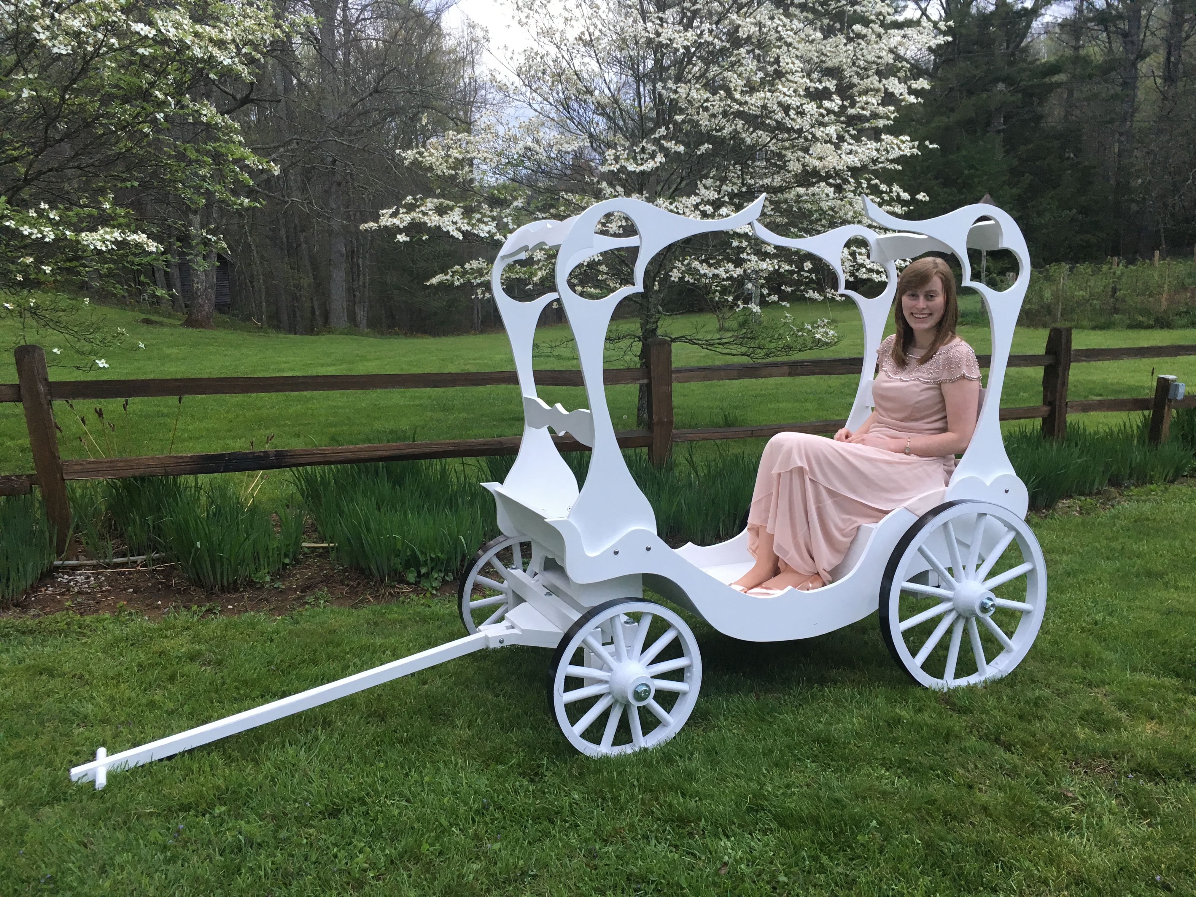 Princess Wagons For Weddings